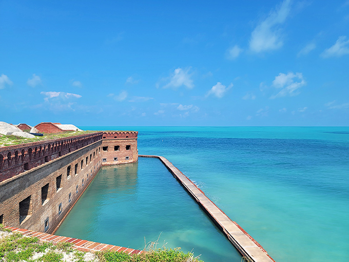 The contrast between Fort Jefferson's weathered brick walls and the impossibly blue waters creates a visual feast that no camera can fully capture.