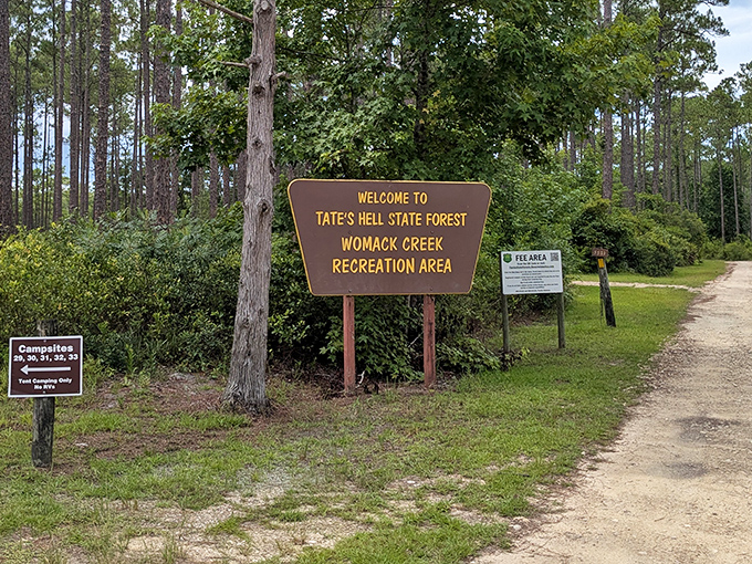 The entrance sign tells a story all its own &ndash; "Tate's Hell" promises adventures that are anything but hellish for nature lovers.