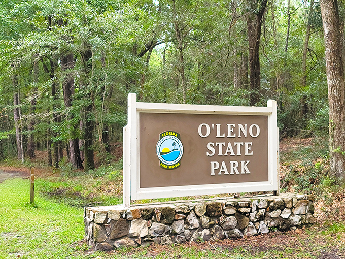 The park's entrance sign promises adventure beyond, standing as a gateway between the modern world and Florida's wild heart.