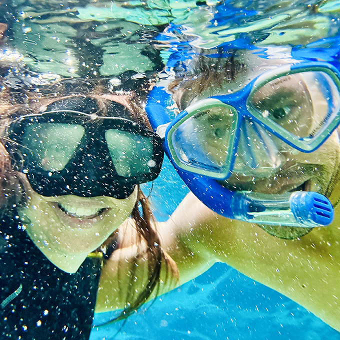 Snorkeling in Cypress Spring reveals an underwater cathedral where sunlight dances through water so clear it feels like flying.