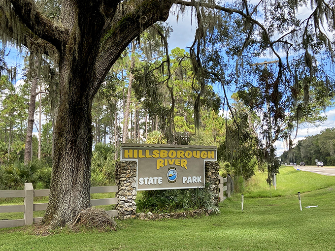 Welcome to paradise: Hillsborough River State Park's entrance sign stands beneath Spanish moss-draped oaks, promising adventures that money can't buy.