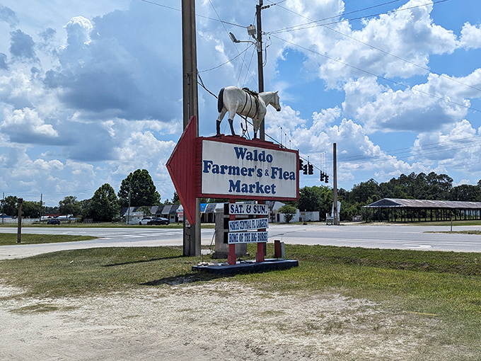 This iconic roadside sign with its distinctive white horse has guided generations of bargain hunters to their happy place. It's not just a sign – it's a beacon of hope.