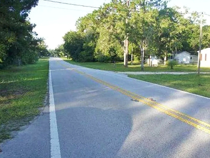 This unassuming street holds magic for those willing to slow down and notice &ndash; a reminder that extraordinary beauty often hides in plain sight.