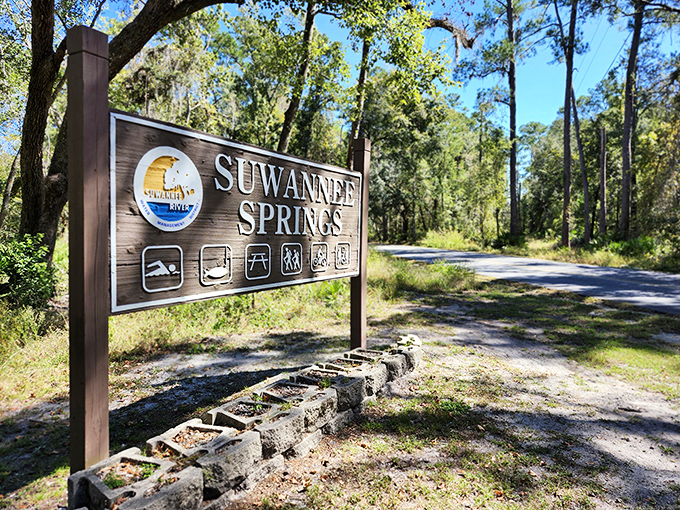 The official Suwannee Springs sign stands as a gateway to adventure, promising natural beauty with no hint of the colorful surprise that awaits.