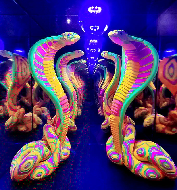 These psychedelic pythons glow with electric intensity, transforming Florida's slithery residents into guardians of a neon temple.