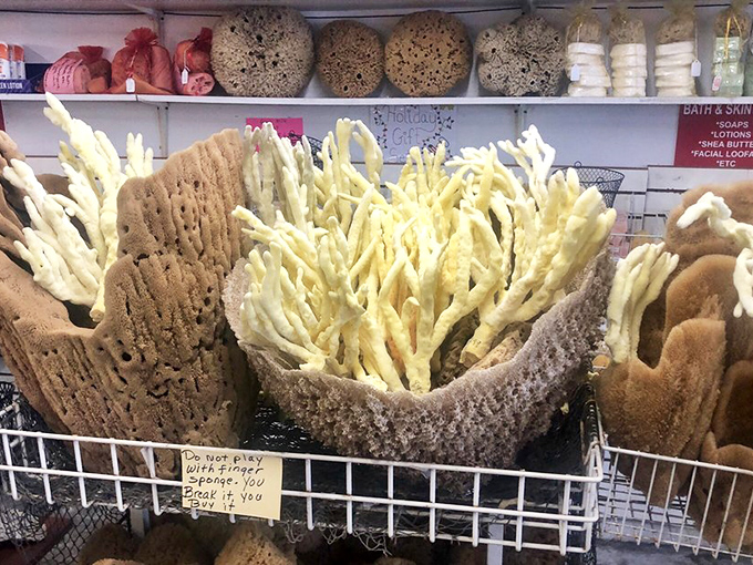A spectacular array of finger sponges and sea treasures &ndash; Mother Nature's own sculpture garden, no water required.