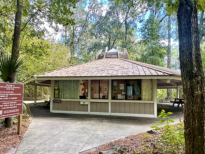 This hexagonal visitor center serves as the gateway to geological wonder, offering air-conditioned respite after conquering those infamous 232 steps.