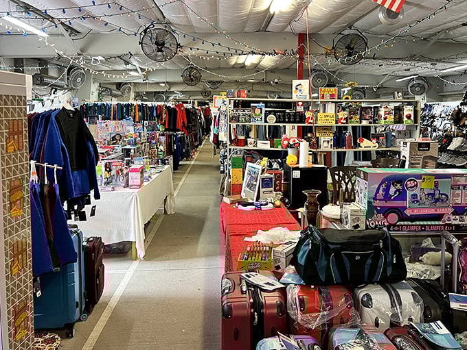 Aisles stretch into infinity, filled with treasures waiting to be discovered by shoppers who understand that the joy is in the journey, not just the purchase.