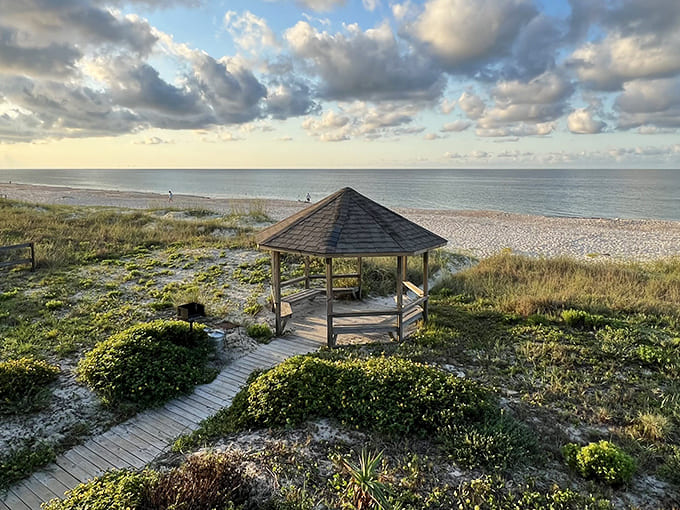 Wooden beachside gazebo: The perfect viewing platform for nature's daily spectacles – part shelter, part front-row seat to the greatest show on earth.