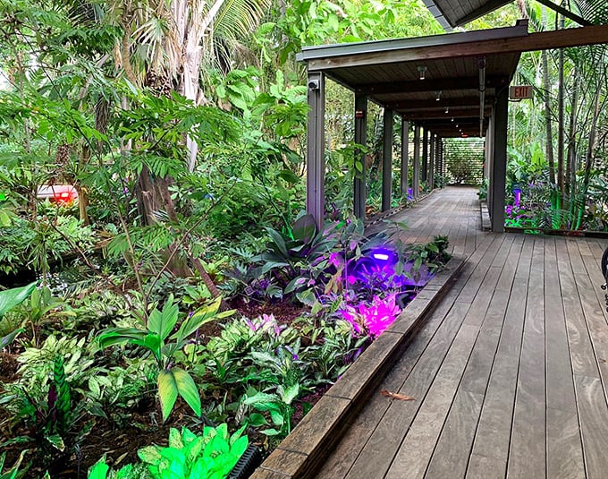 Illuminated by colorful lights, this walkway transforms familiar plants into an otherworldly experience.