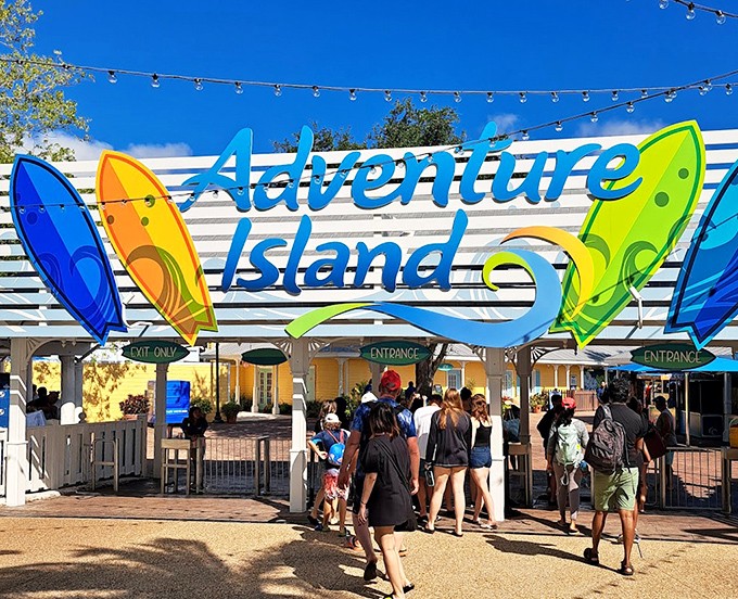 Multi-level play structures provide endless entertainment options for kids of all ages.