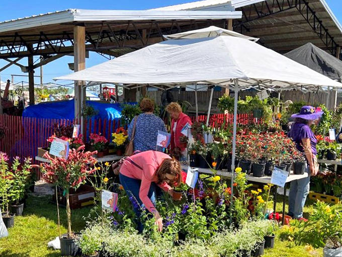 15b. garden show and spring festival, williston, may 4 5, 2024