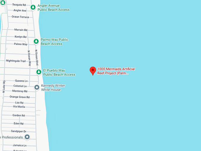 16. 1,000 mermaids artificial reef map