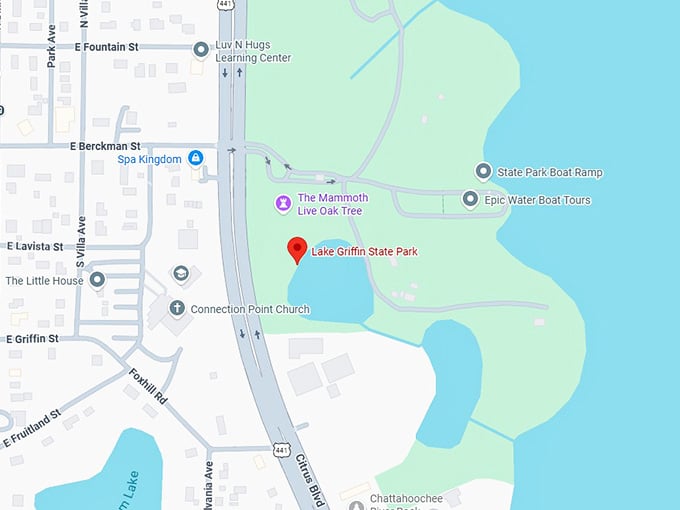 16. lake griffin state park map