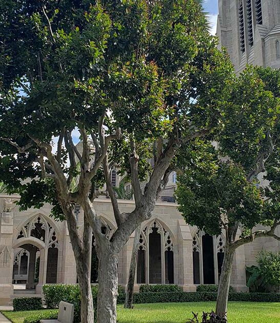 19th century church florida ftr