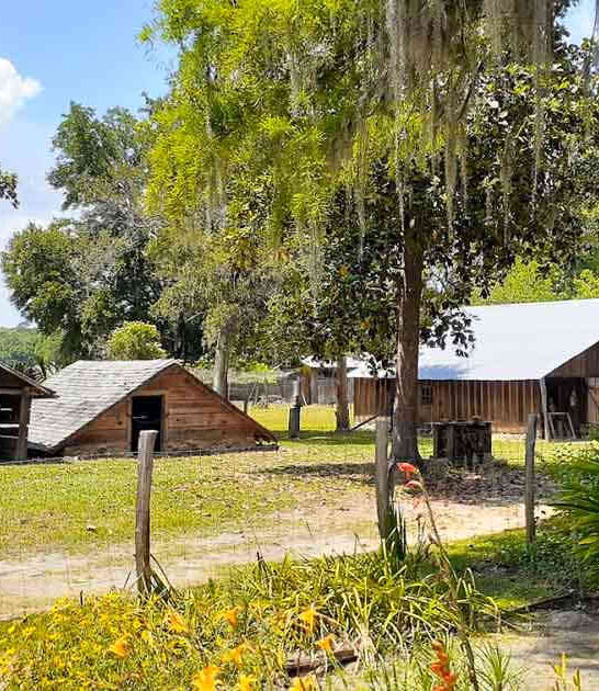 19th century park florida ftr