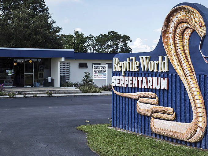 The unassuming exterior of Reptile World Serpentarium belies the scaly wonders waiting inside this St. Cloud hidden gem.