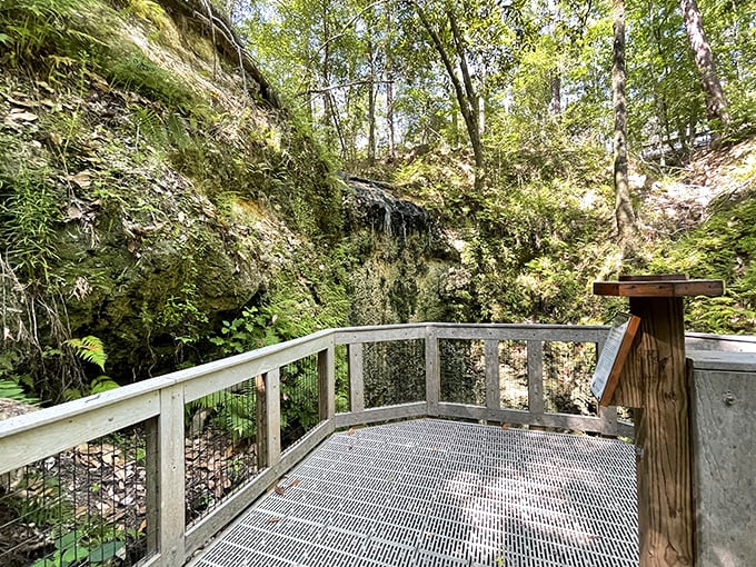 A peaceful viewing deck overlooks Falling Waters' mysterious sinkhole waterfall. Nature's magic show happens when water vanishes into the earth below.