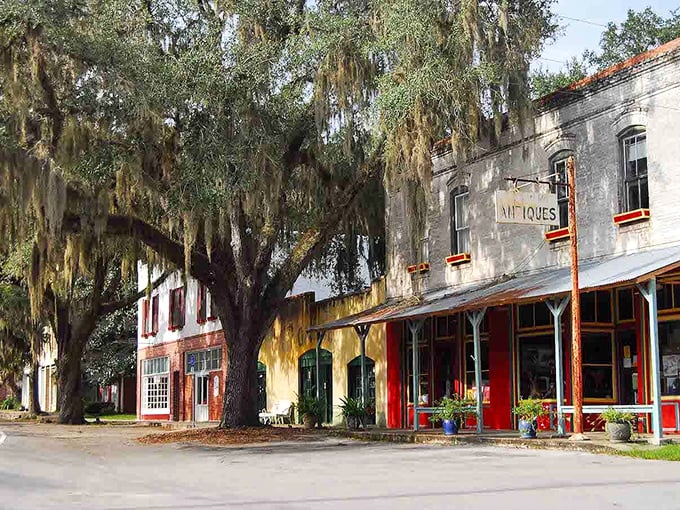 Micanopy's historic district welcomes visitors with moss-draped oaks and colorful storefronts, creating a perfect backdrop for family strolls.