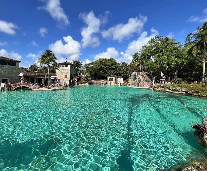 Crystal clear waters invite you to dive into the historic Venetian Pool, where Mediterranean dreams meet Florida sunshine.