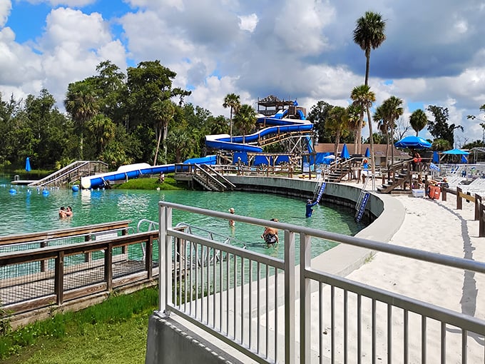Crystal clear springs reveal underwater mermaid performances that seem straight out of a fairy tale.