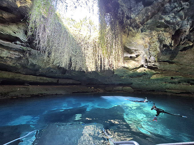 Sunlight streams through the cave opening at Devil's Den, illuminating swimmers exploring the prehistoric spring's crystal-clear waters.