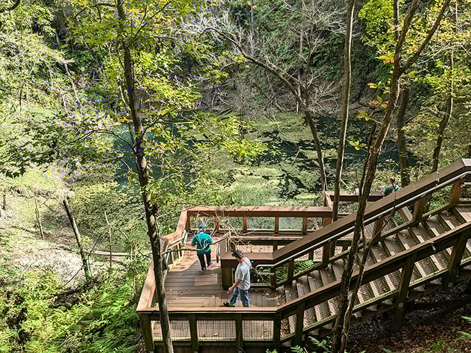 Mirror-like waters reflect a perfect blue sky at Devil's Millhopper, where Florida's natural beauty shines without the crowds or fanfare. Photo credit: Brian stipitch