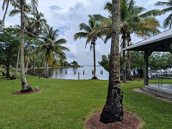 Waterfront tranquility at Edison and Ford Winter Estates, where palm trees frame a peaceful view of the water.