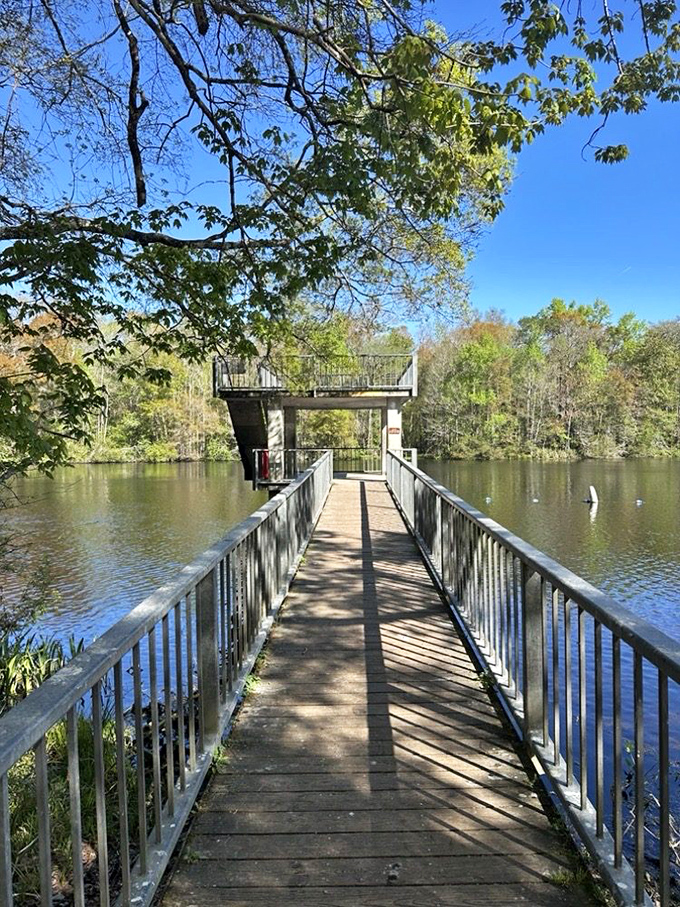 A wooden boardwalk stretches across calm waters, inviting visitors to explore the natural wonders of Wakulla Springs State Park.