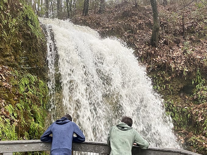 Water rushes dramatically down the rocky face at Falling Waters State Park. Two visitors lean against the railing, mesmerized by Florida's tallest waterfall.