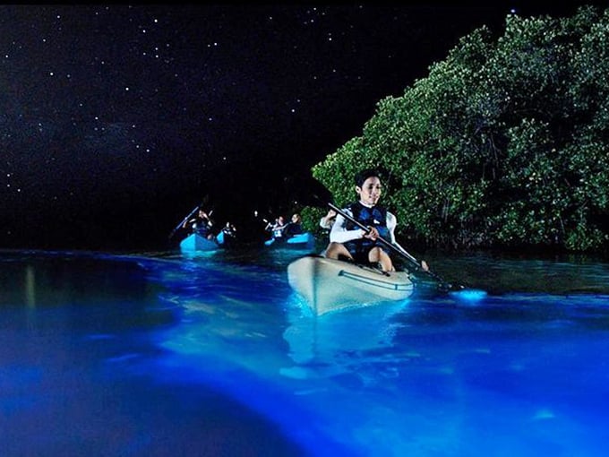 Starry waters beneath a starry sky! Kayakers glide through the ethereal blue glow of Merritt Island's bioluminescent waters, creating trails of light with each paddle stroke.