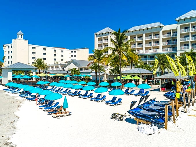 Beach bliss defined at Shephard's, with rows of blue loungers inviting you to soak up Florida's famous sunshine after your tropical feast.