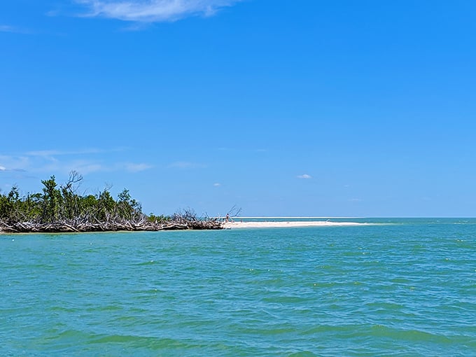 Island treasure hunt! Turquoise waters lead to untouched sandbars where nature's shell collection remains gloriously undisturbed.