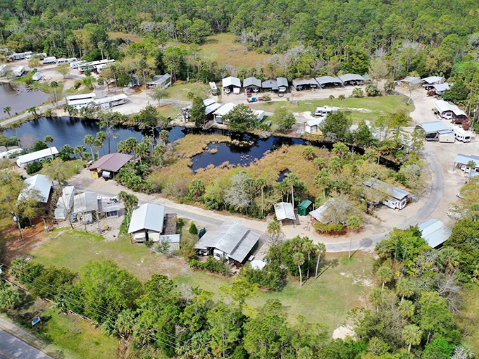 Bird's-eye view of paradise: Econfina's waterways weave through pristine wilderness like nature's own road map.