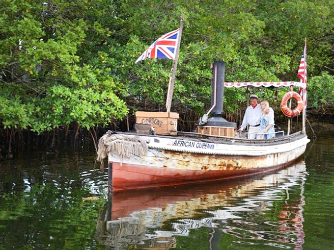 Navigating mangrove tunnels with the grace of a centenarian dancer, this floating film star proves some legends never fade.