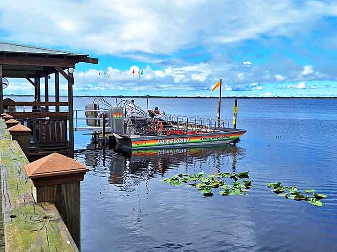 The docking station serves as the gateway to adventure, where colorful airboats await their next crew of explorers ready to discover wild Florida.