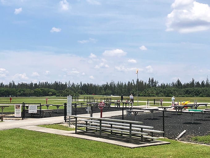 Miniature marvels take flight at the model airplane field, where hobbyists pilot sophisticated aircraft with the precision of Top Gun graduates.