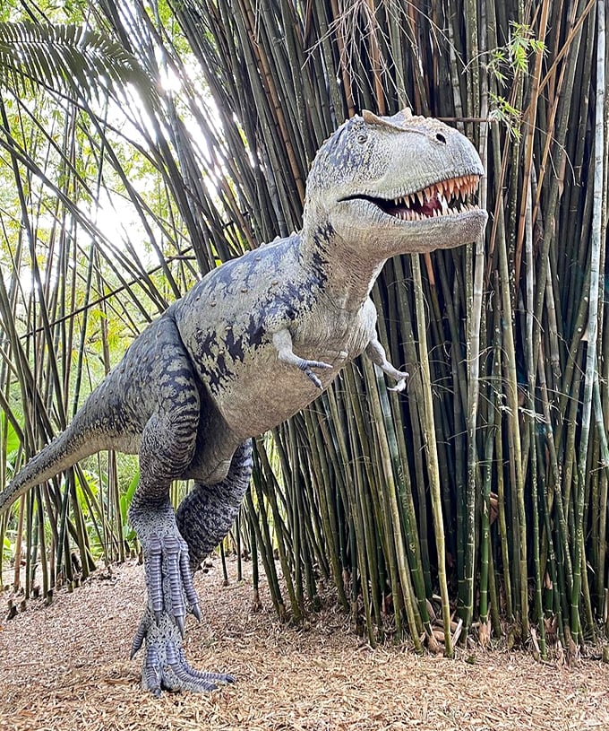 This Allosaurus stands frozen in mid-roar, looking like it just spotted the world's juiciest prehistoric snack among the garden's greenery.