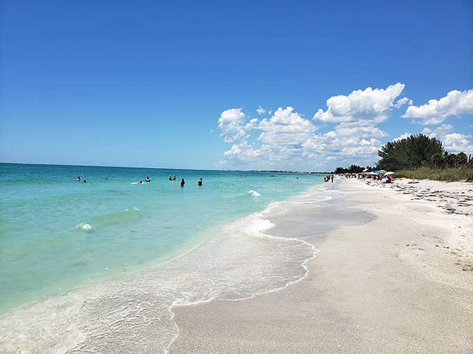 Powdery white sand meets crystal-clear Gulf waters, creating a beach experience that makes even seasoned travelers stop and stare in wonder.