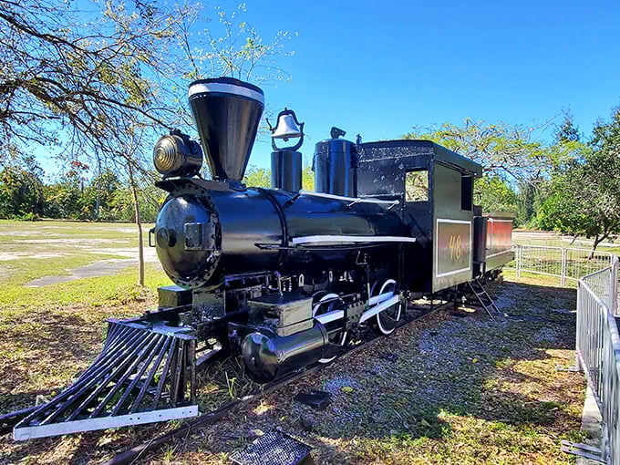 This black iron beast once thundered across America's landscape, its massive wheels and gleaming fittings standing as monuments to industrial ingenuity.