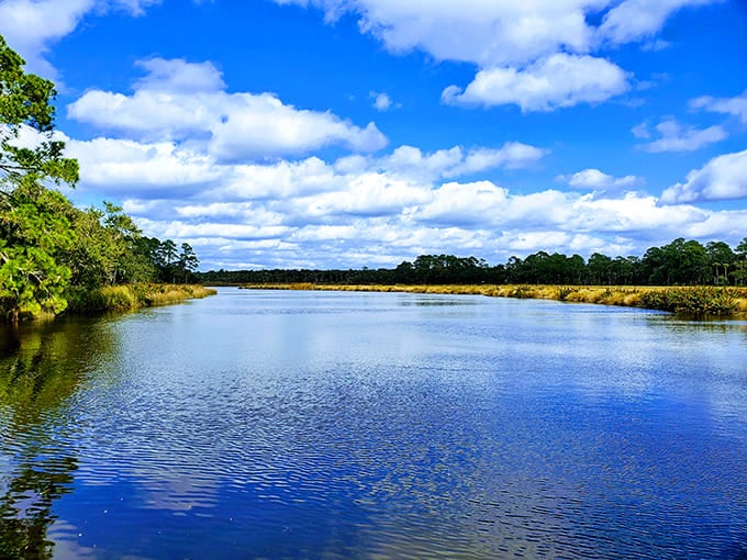 Creek: Bulow Creek meanders peacefully through the park, its reflective surface mirroring centuries of Florida history and abundant wildlife.
