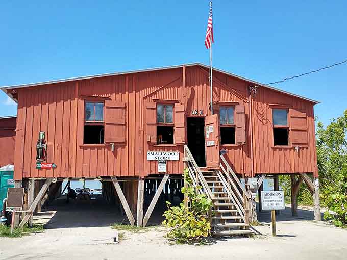 The Smallwood Store stands on stilts like a time traveler who forgot to go home, still holding stories from when Florida was truly wild.