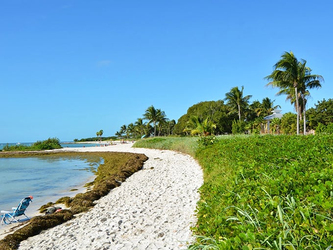 Paradise found: Pristine turquoise waters meet powdery white sand, creating that "am I dreaming?" moment every beach lover craves.