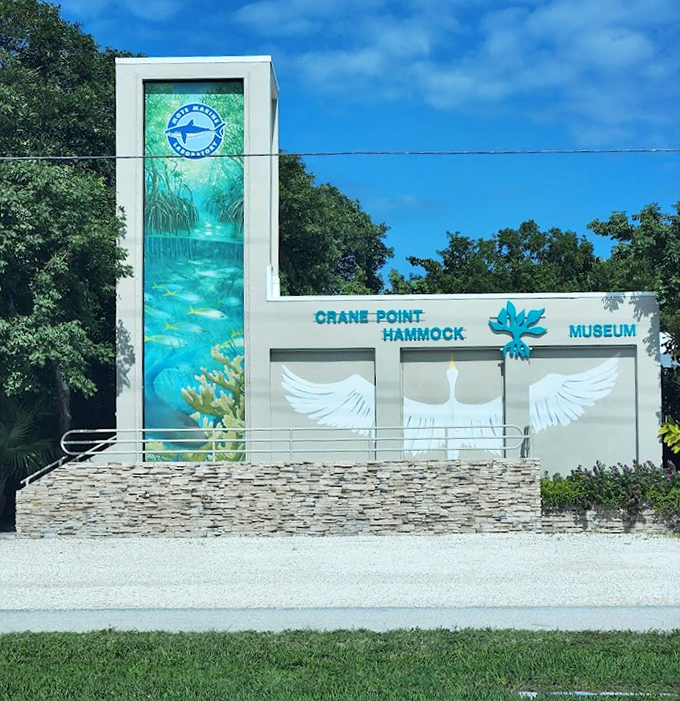 Modern meets natural at the museum entrance, where vibrant murals of local wildlife hint at the wonders waiting both inside and along the trails.