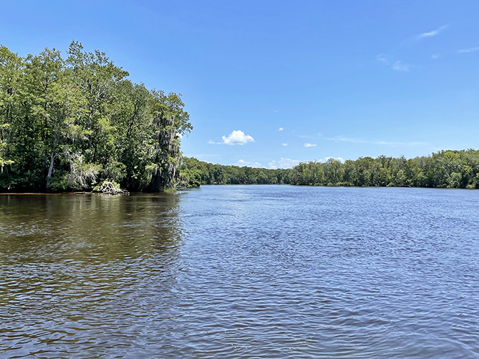 The creek's mirror-like surface creates perfect reflections, nature's way of showing off its photogenic good side.