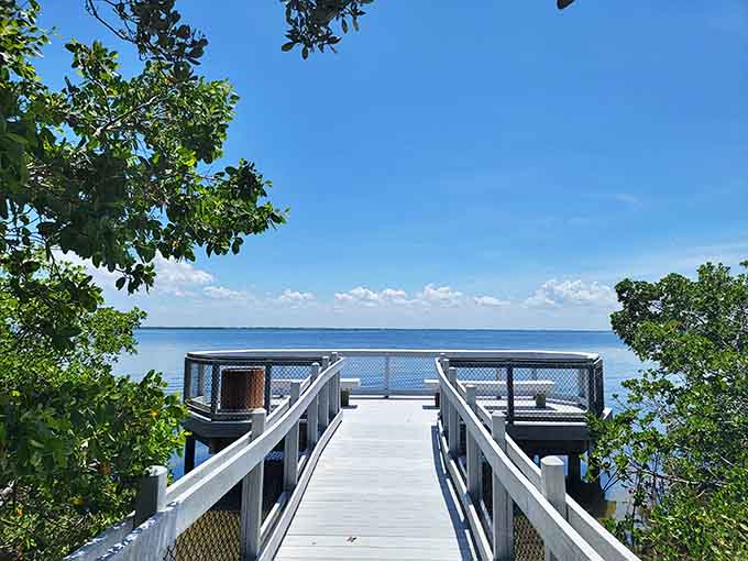 This observation deck offers front-row seats to Sarasota Bay's daily show, no ticket required, popcorn optional, views absolutely mandatory.