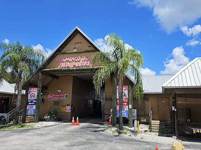 Palm trees frame the rustic wooden entrance, where treasure hunters begin their quest through aisles of unexpected finds and delightful discoveries.