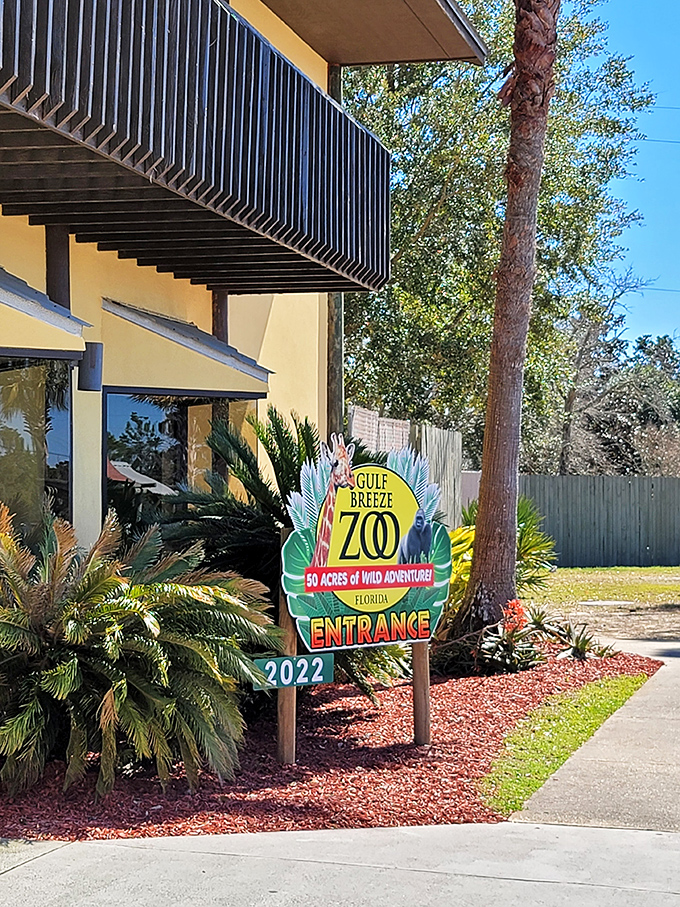 Welcome to where the wild things are! The Gulf Breeze Zoo entrance promises 50 acres of adventure that'll make your backyard seem painfully ordinary.