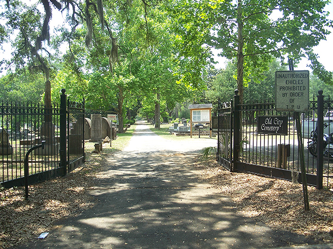 Iron gates welcome visitors to Old City Cemetery, where history sleeps beneath Spanish moss and whispers stories to those willing to listen.