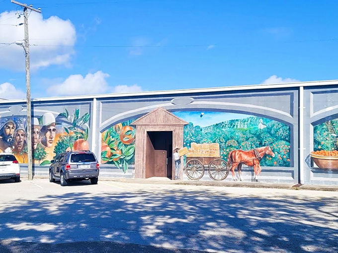Florida Citrus Farming and Early Settlement Mural Sunlight dances across painted oranges and farmworkers, capturing the sweet heritage that put Florida on the agricultural map.